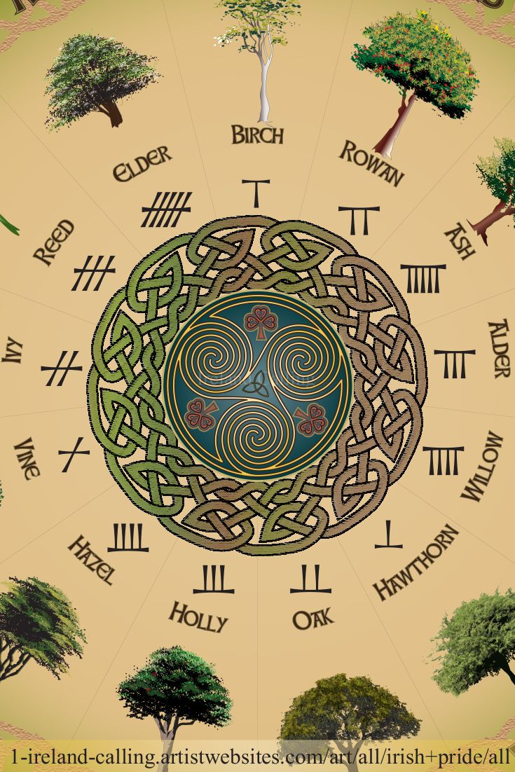Ogam Tree Oracle – White Rose of Avalon