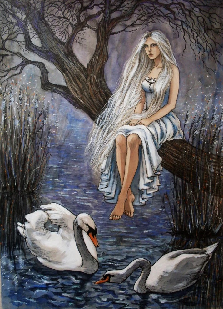 Swans, Birds of Otherworldly Enchantment – White Rose of Avalon